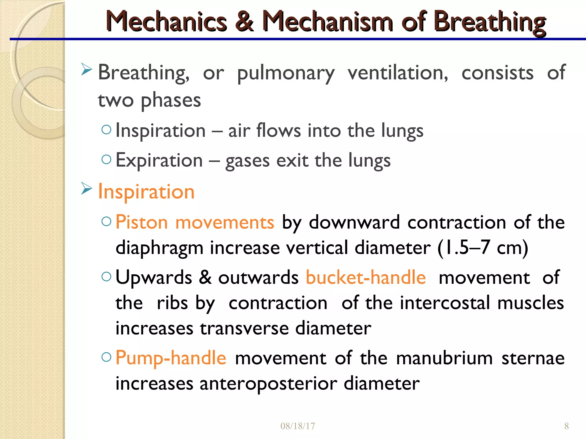 Respiratory system | PPT