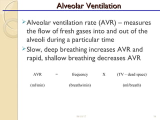 Respiratory system | PPT