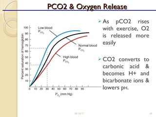 Respiratory system | PPT