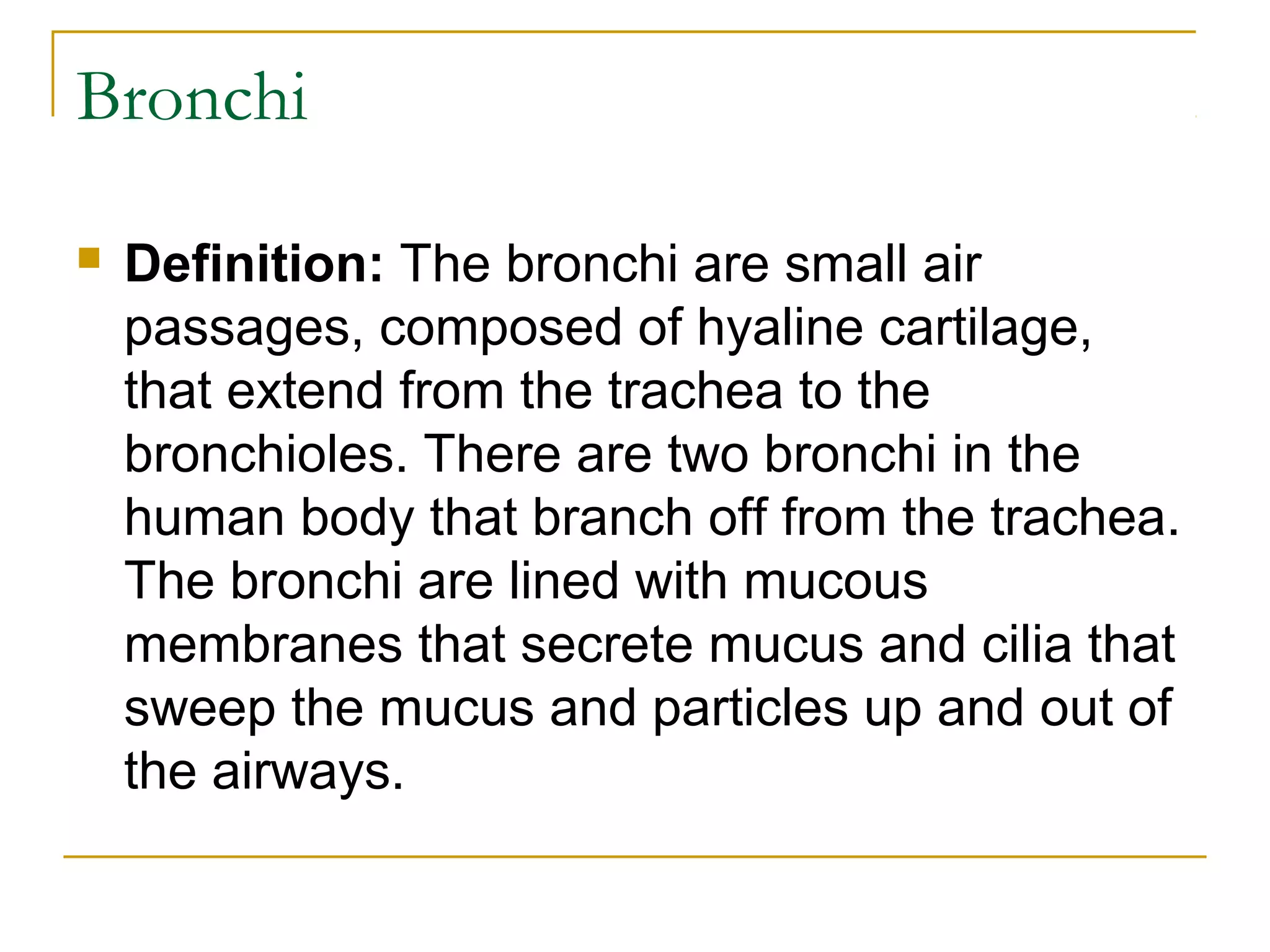 Respiratory system | PPT