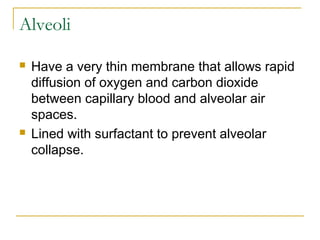 Respiratory system | PPT