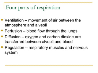 Respiratory system | PPT