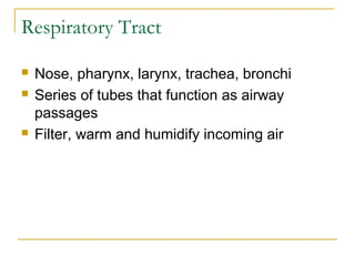 Respiratory system | PPT