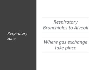 Respiratory system | PPTX