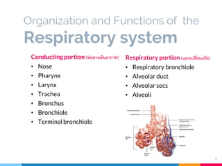 Respiratory system | PPTX