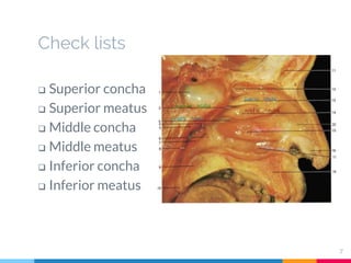 Respiratory system | PPTX