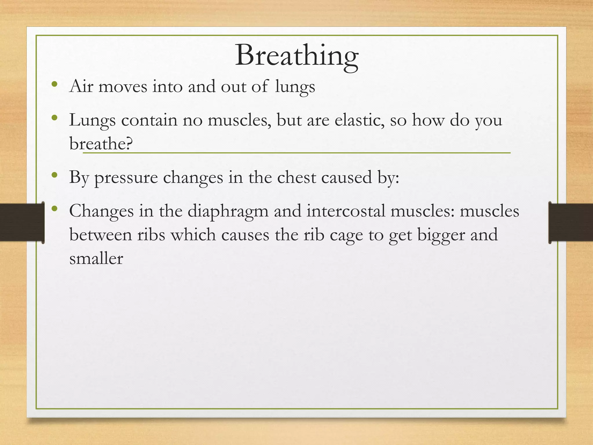 Respiratory system | PPT