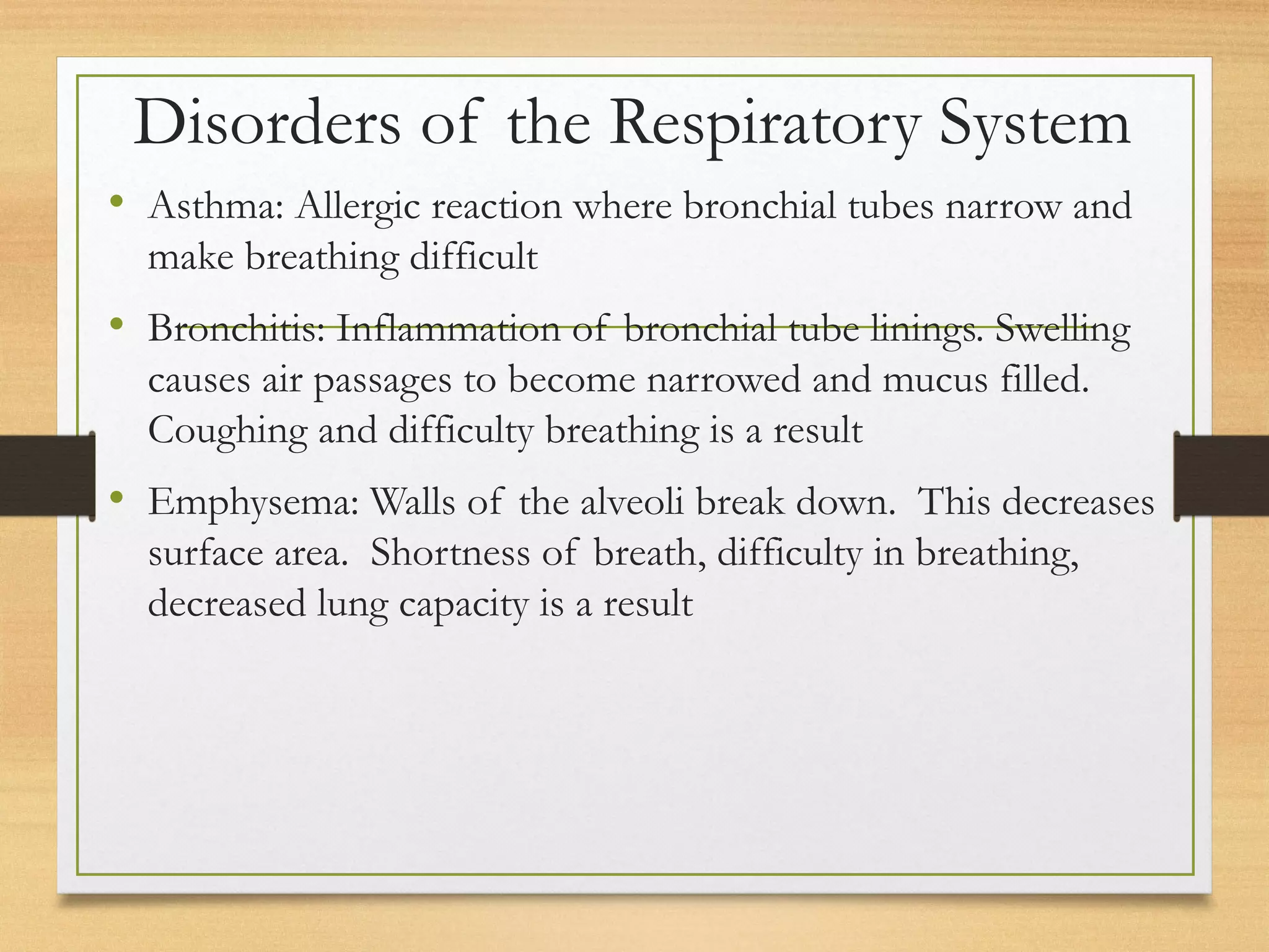 Respiratory system | PPT