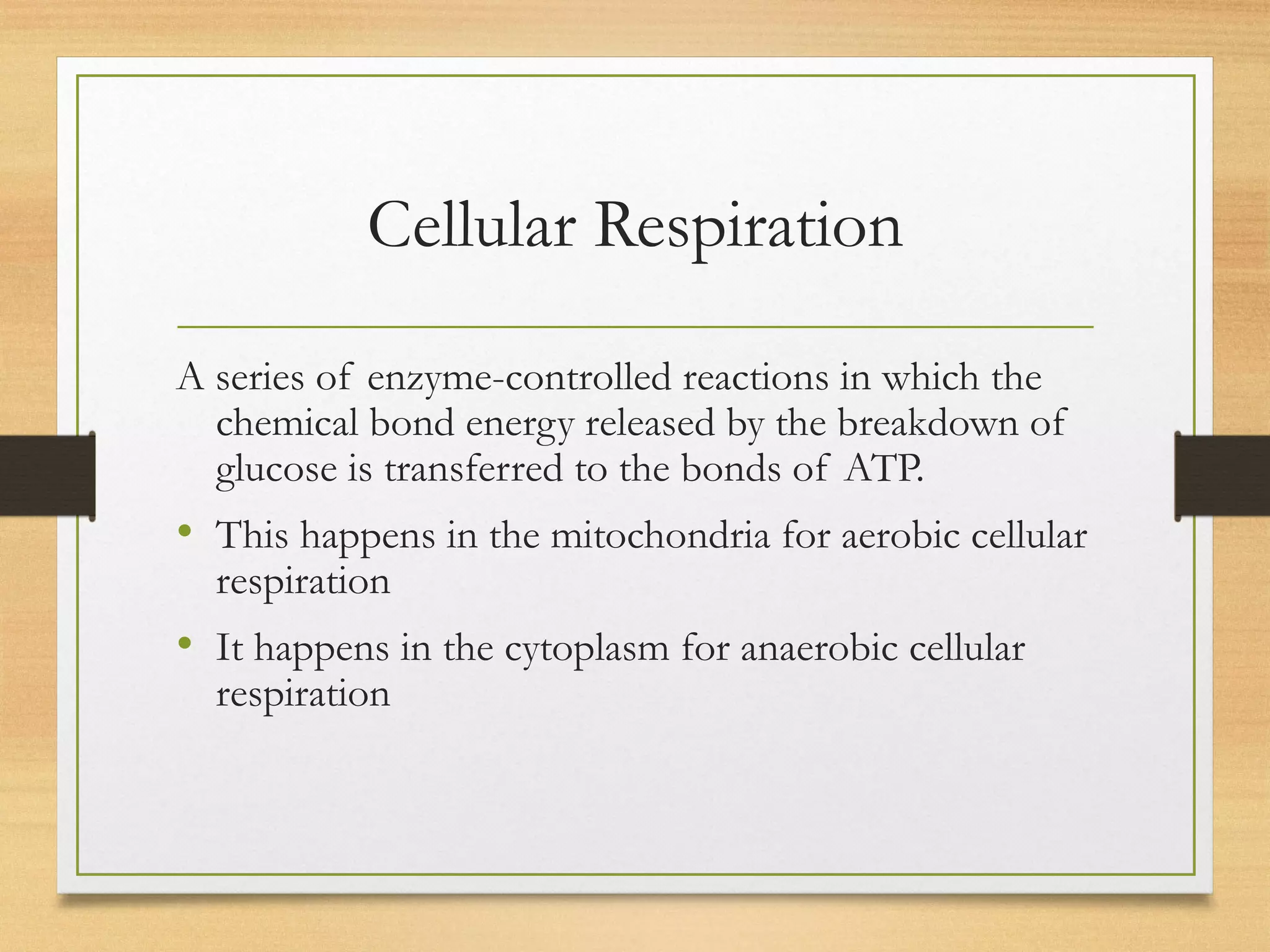 Respiratory system | PPT