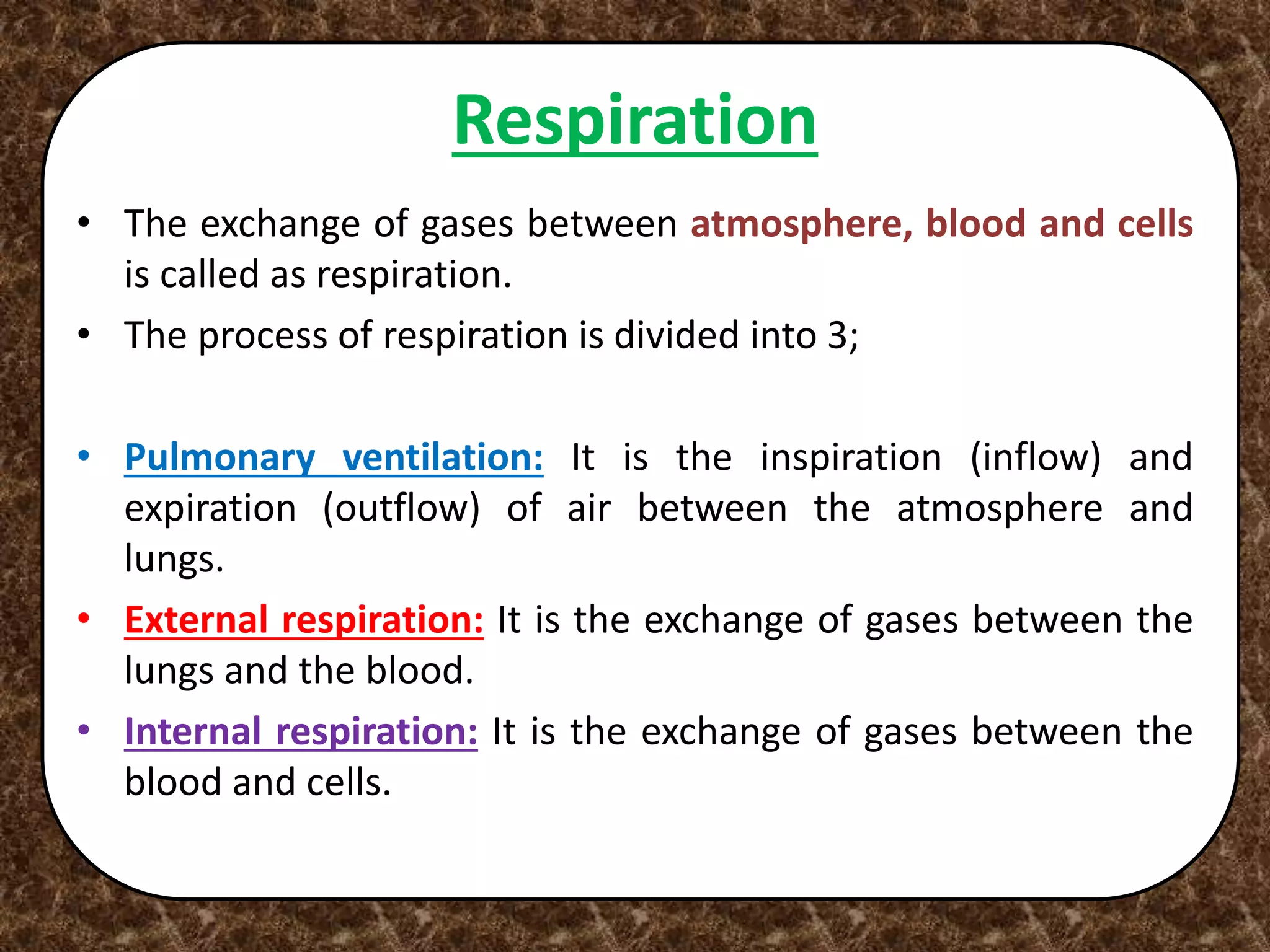 Respiratory system | PPTX