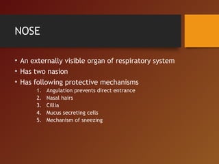 breathing gas exchange | PPT