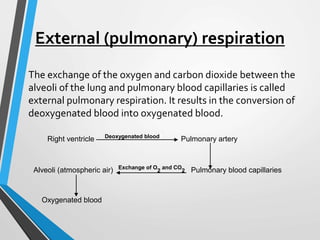 Respiratory system | PPTX