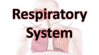 Parts and Function of Respiratory System - Grade 9 Science | PPTX