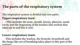 Respiratory system | PPT