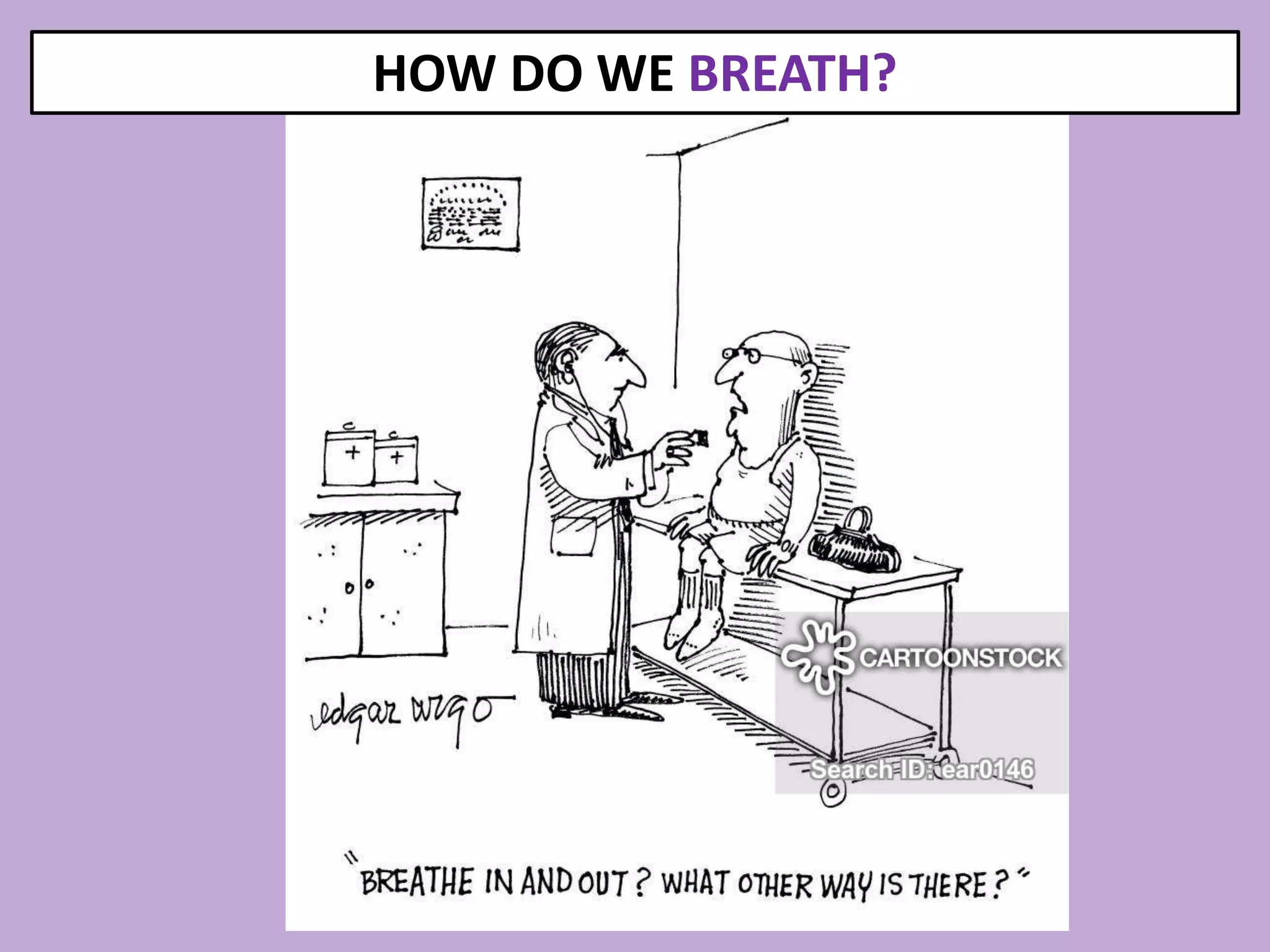 Respiratory system | PPTX