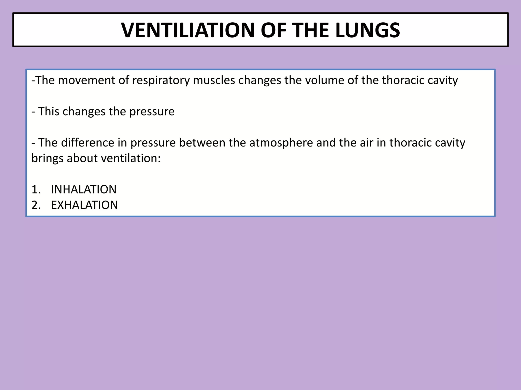 Respiratory system | PPTX