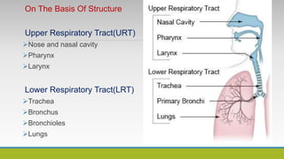 Respiratory system | PPTX
