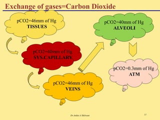RESPIRATORY SYSTEM-2.ppt