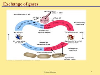 RESPIRATORY SYSTEM-2.ppt
