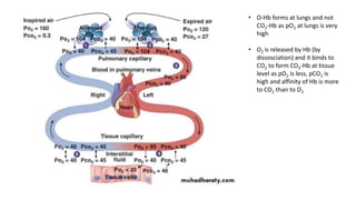 Respiratory System - 2.pptx