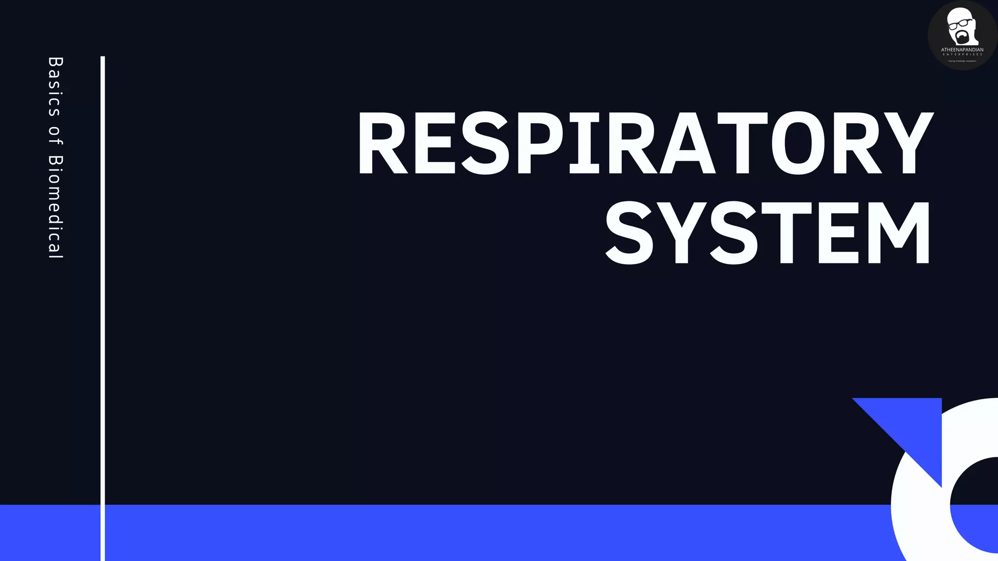 Respiratory system | PPT