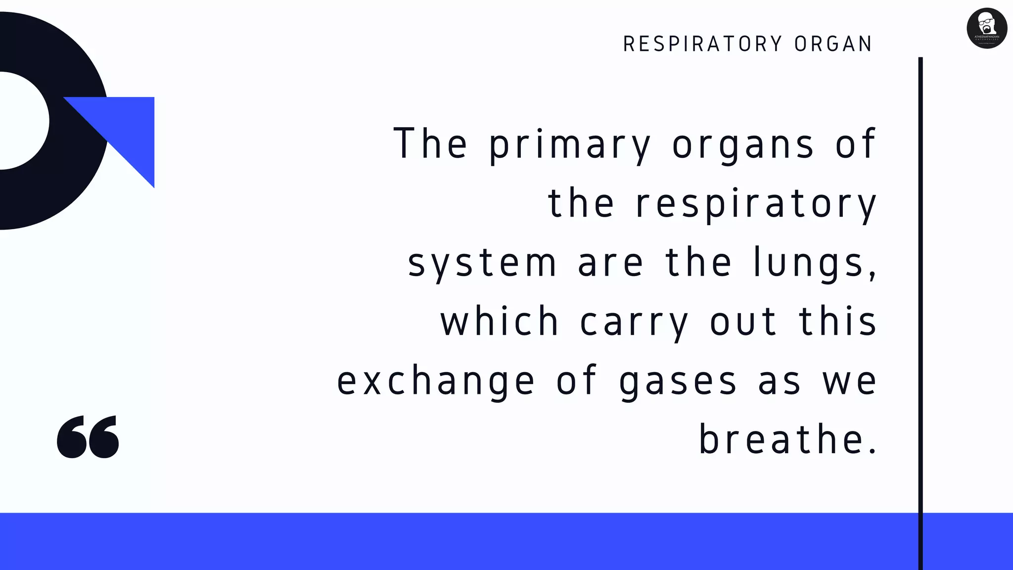 Respiratory system | PPT