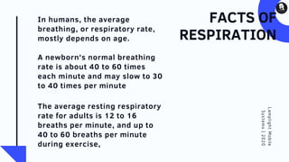 Respiratory system | PDF