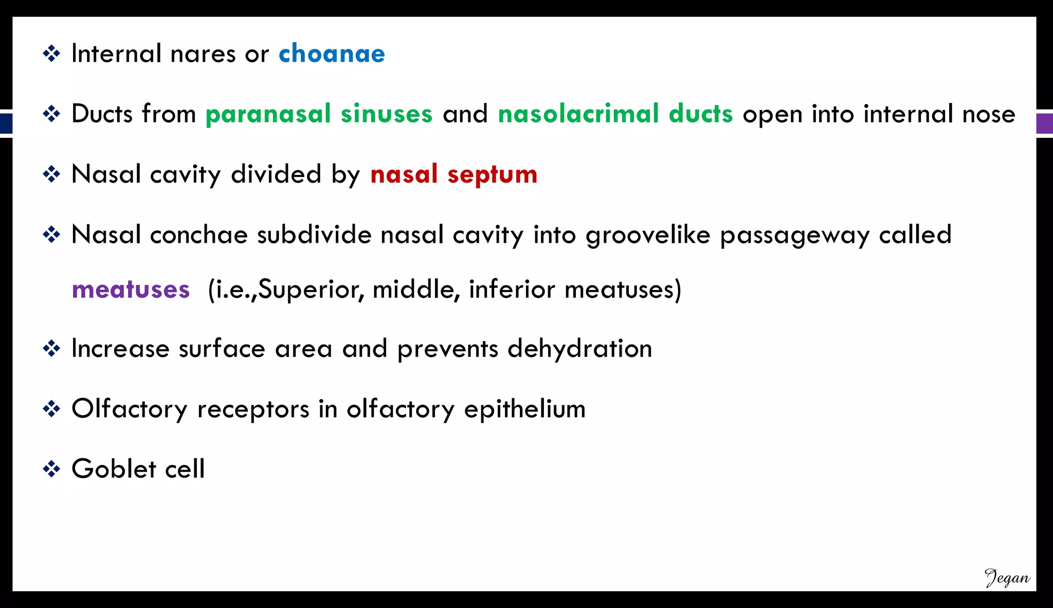 Respiratory system | PDF