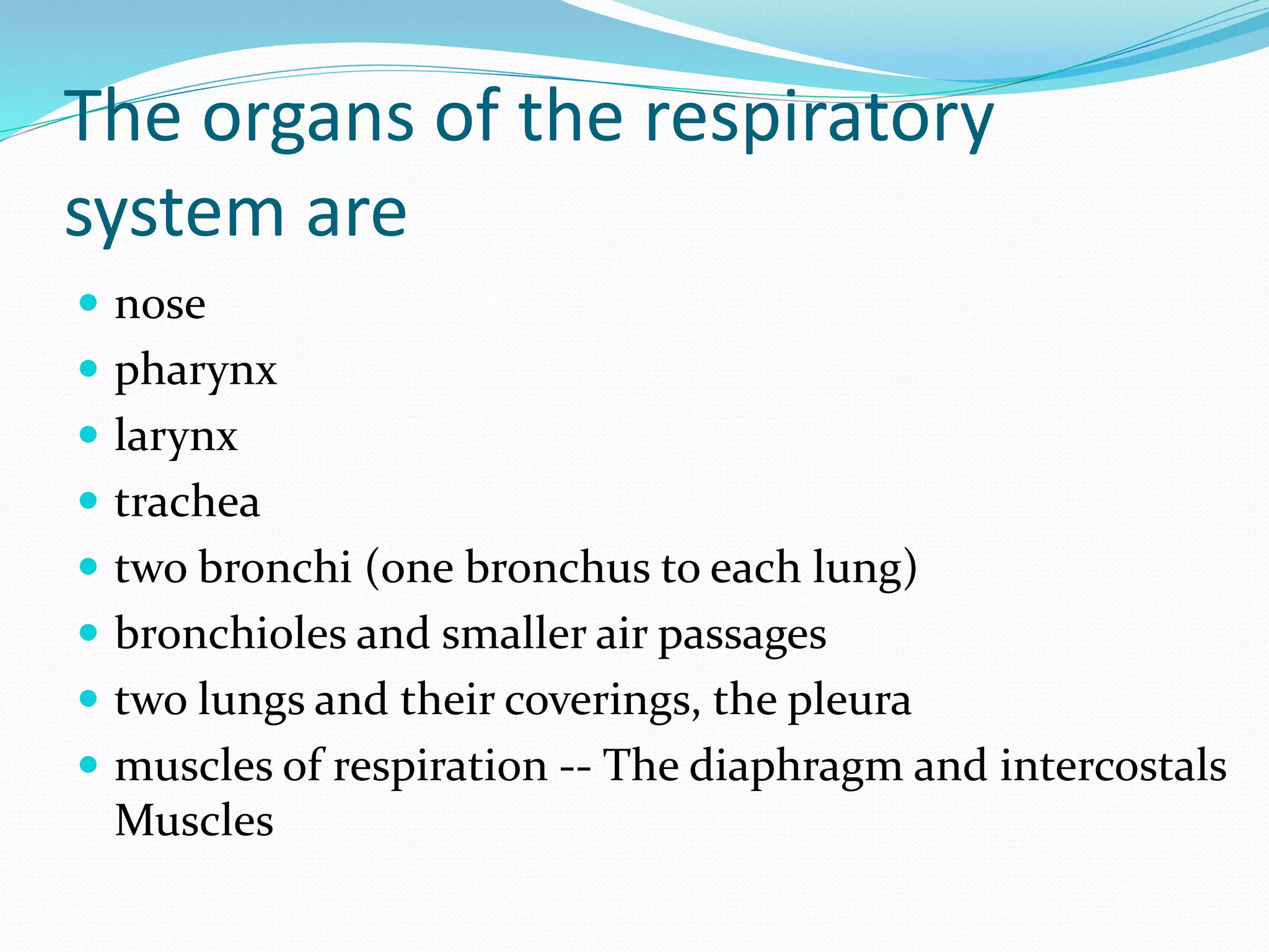Respiratory system | PPTX