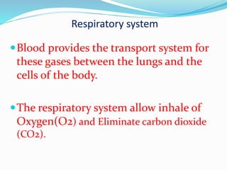 Respiratory system | PPT