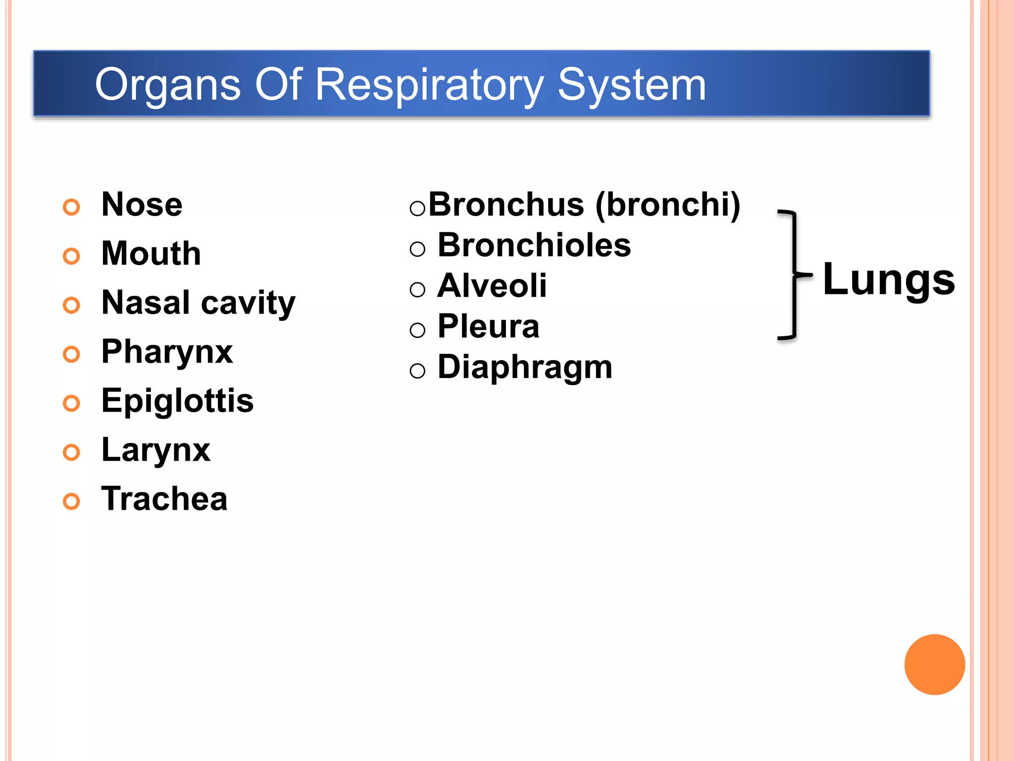 The Respiratory system | PPT