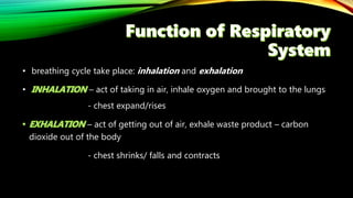 Respiratory system | PPTX