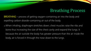 Respiratory system | PPTX