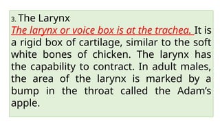 RESPIRATORY SYSTEM-2025.pptx ITS PARTS AND FUNCTIONS | PPTX