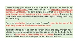 RESPIRATORY SYSTEM-2025.pptx ITS PARTS AND FUNCTIONS | PPTX