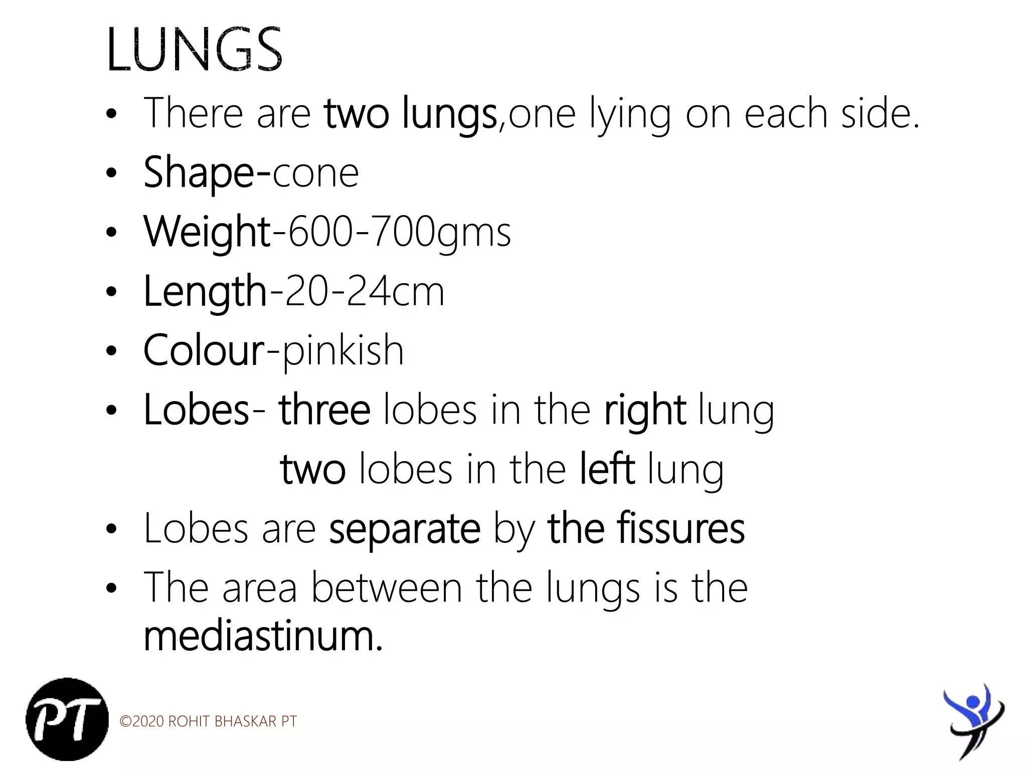 Respiratory System - Anatomy and Physiology - Dr Rohit Bhaskar | PPTX