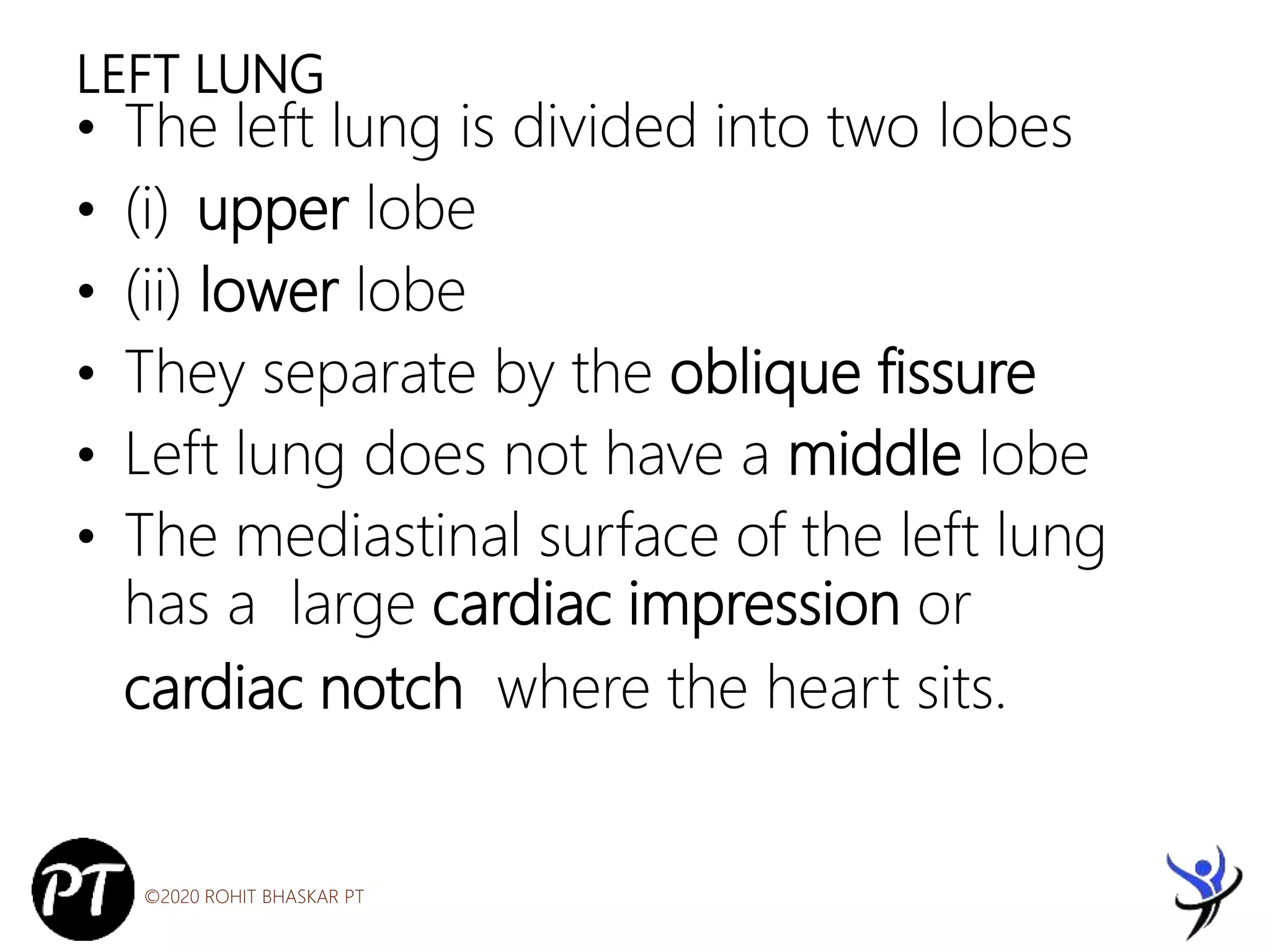 Respiratory System - Anatomy and Physiology - Dr Rohit Bhaskar | PPTX