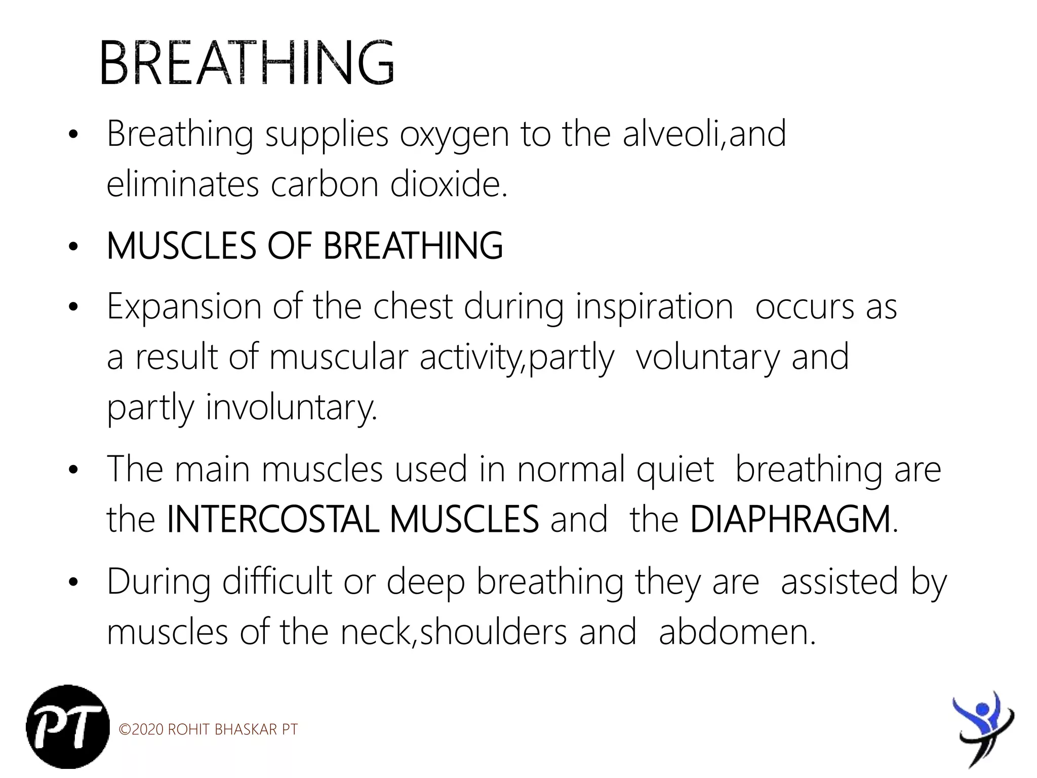 Respiratory System - Anatomy and Physiology - Dr Rohit Bhaskar | PPTX