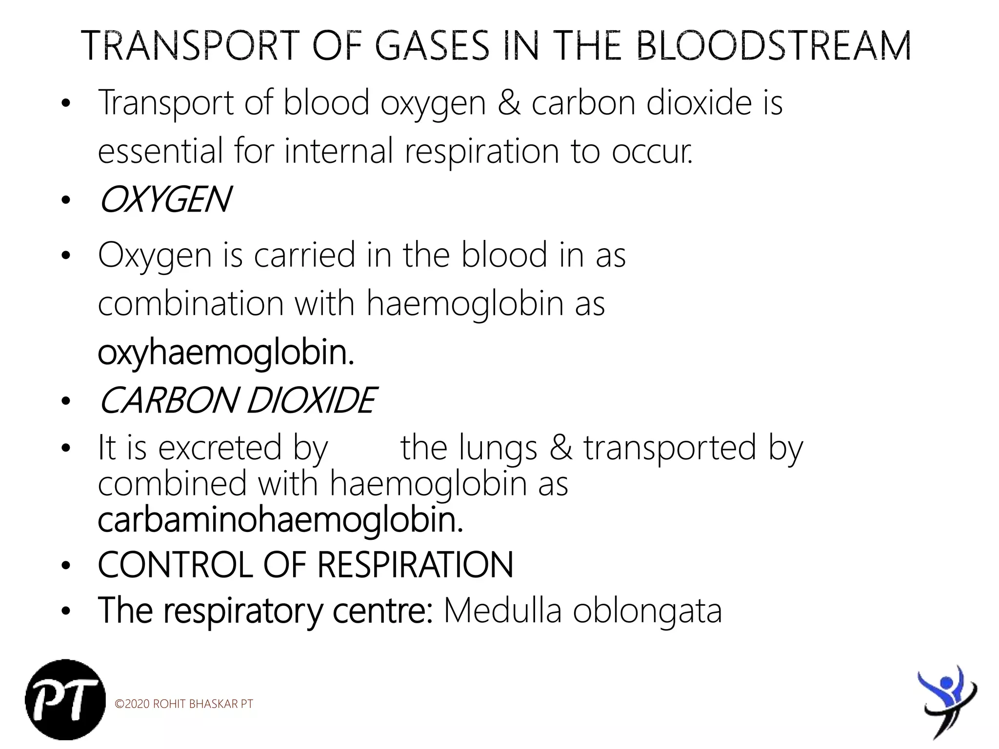 Respiratory System - Anatomy and Physiology - Dr Rohit Bhaskar | PPTX