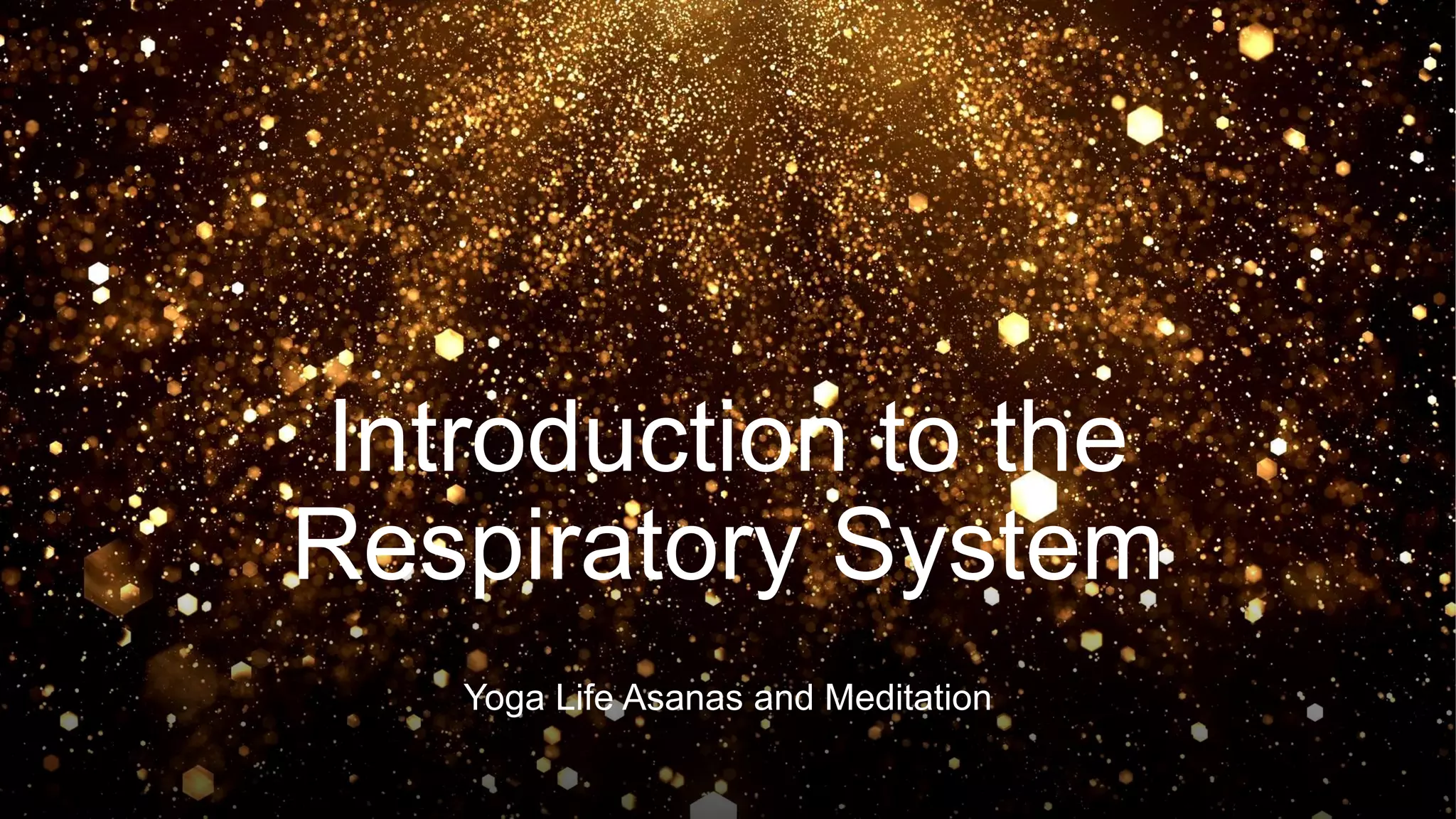 Respiratory system | PPT