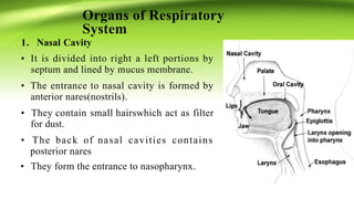 respiratorysystem-210310110941-converted.pptx