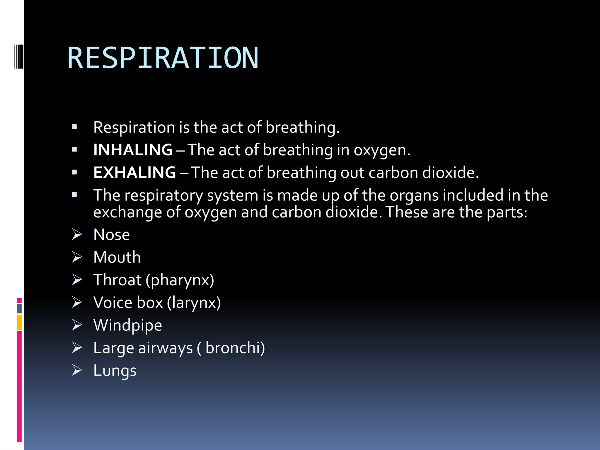 Respiratory system | PPTX