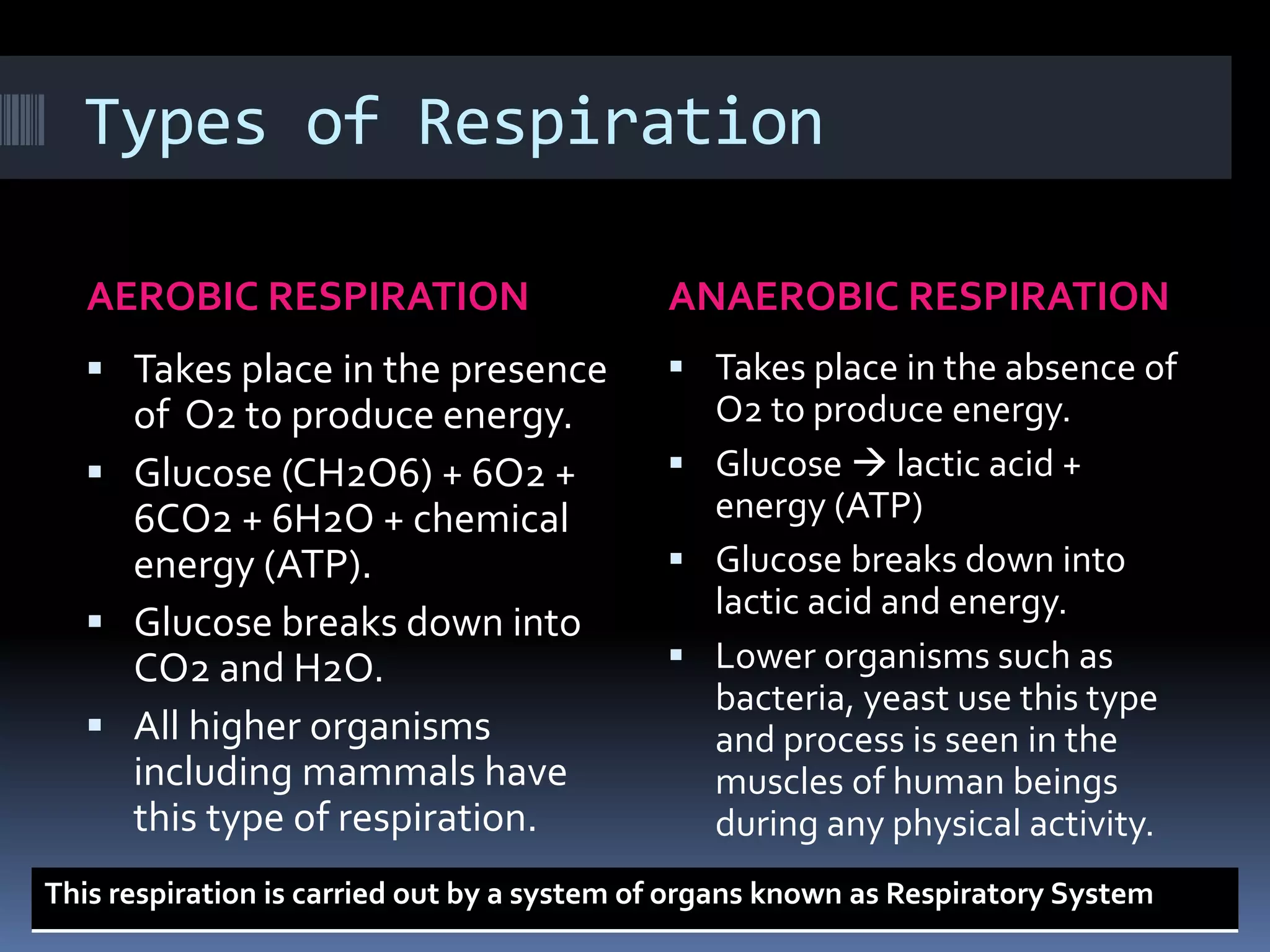 Respiratory system | PPTX