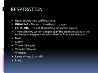 Respiratory system | PPTX