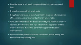 Respiratory system | PPTX