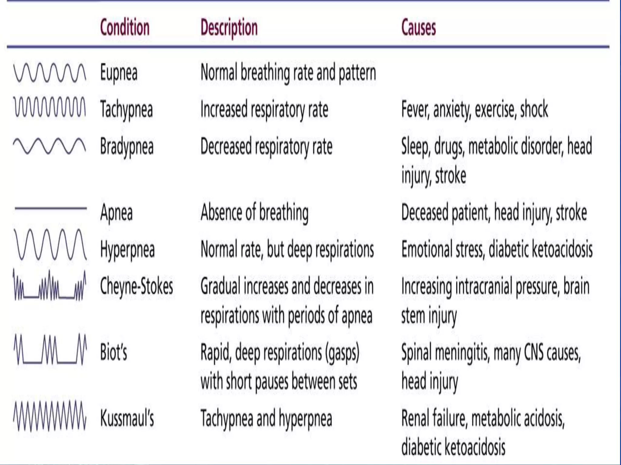 Respiratory system | PPTX