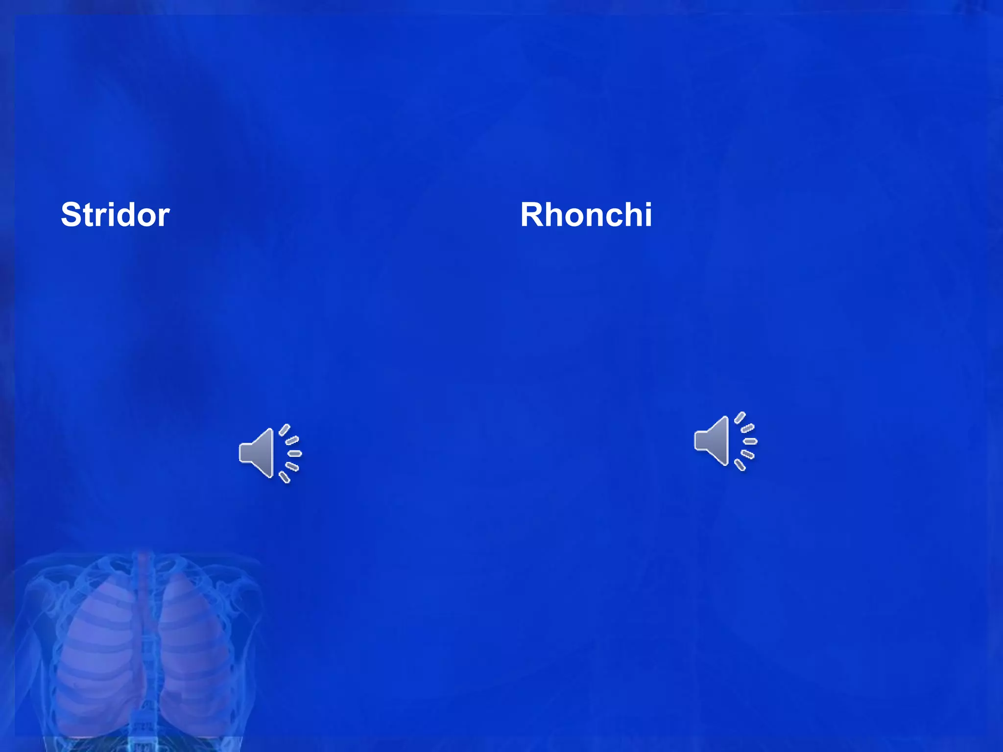 Respiratory system | PPTX