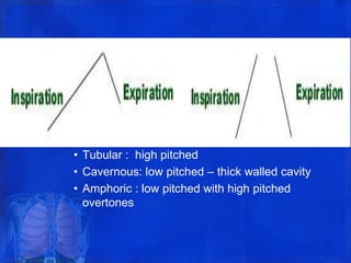 Respiratory system | PPTX
