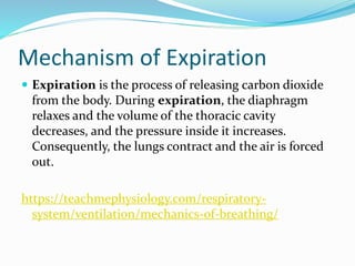 Respiratory system | PPTX