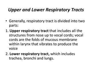 Respiratory system | PPTX